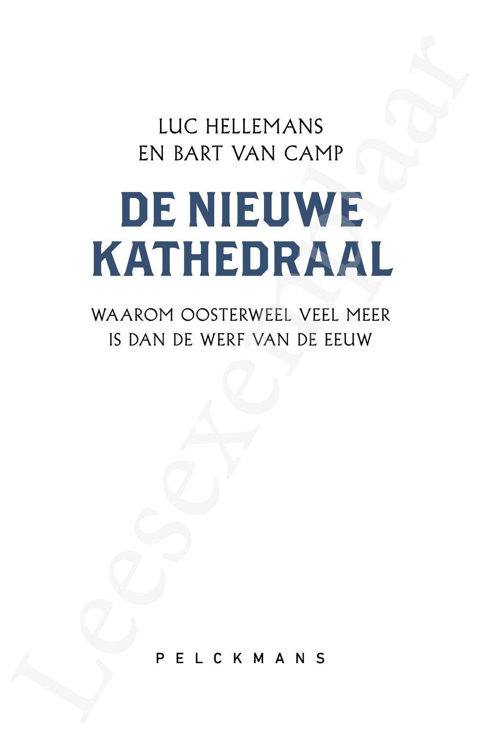 De nieuwe kathedraal – Pelckmans