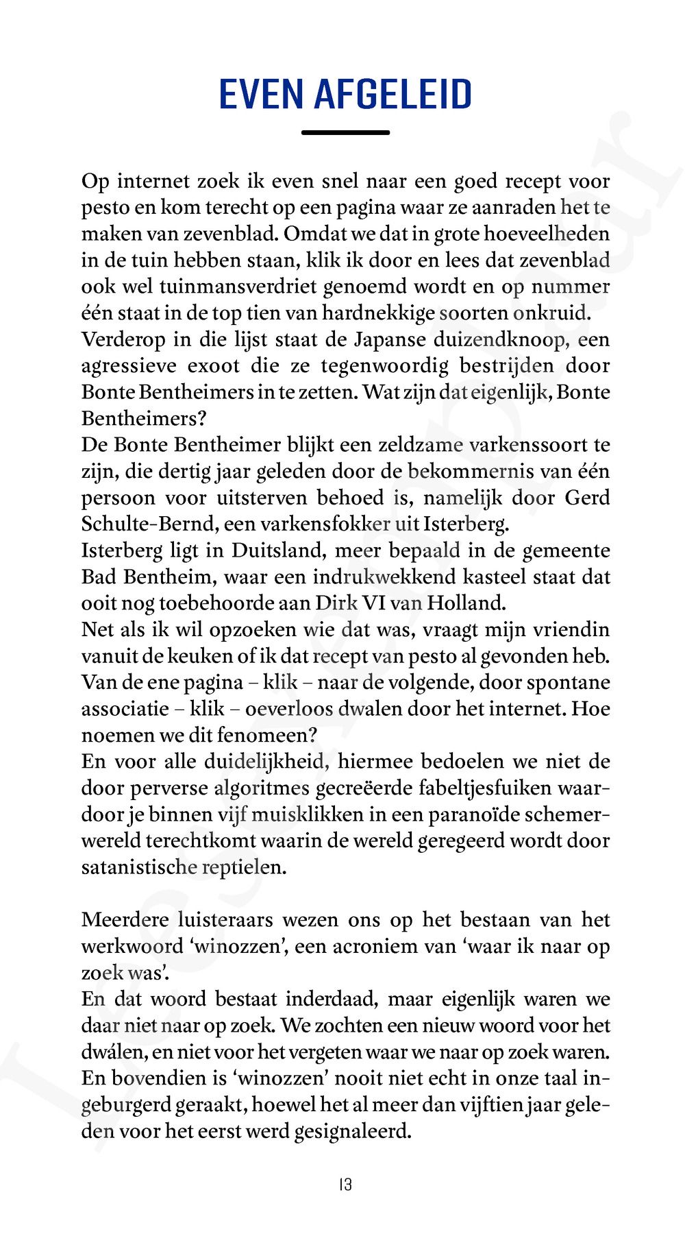 Het grote ontbreekwoordenboek - Ruud Hendrickx, Rick de Leeuw |Pelckmans