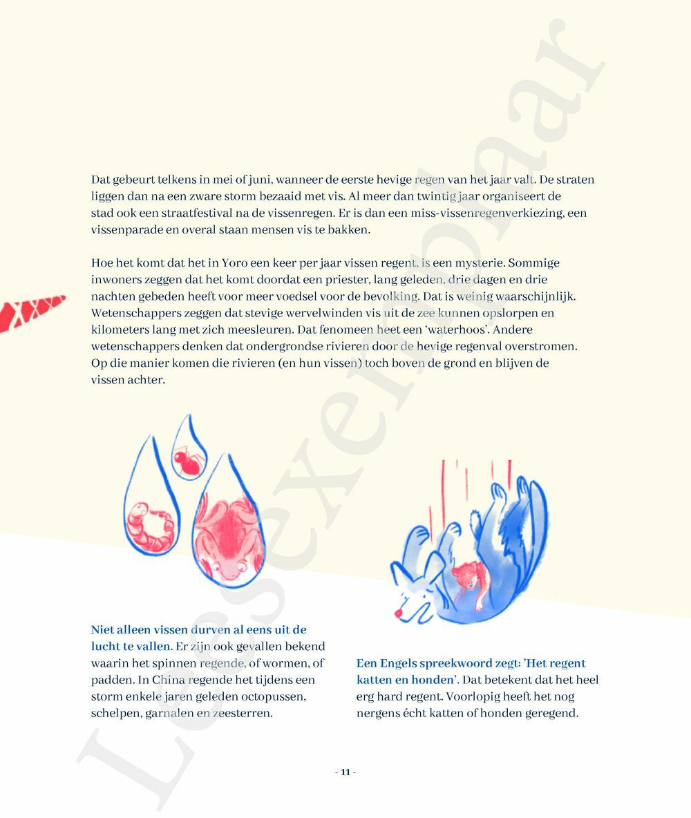 Er was misschien eens - Kamiel De Bruyne | Pelckmans