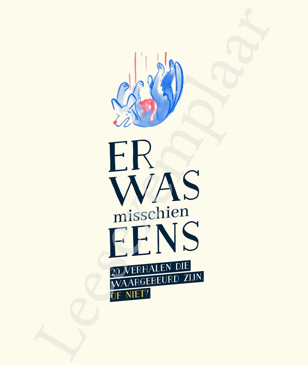 Er was misschien eens - Kamiel De Bruyne | Pelckmans