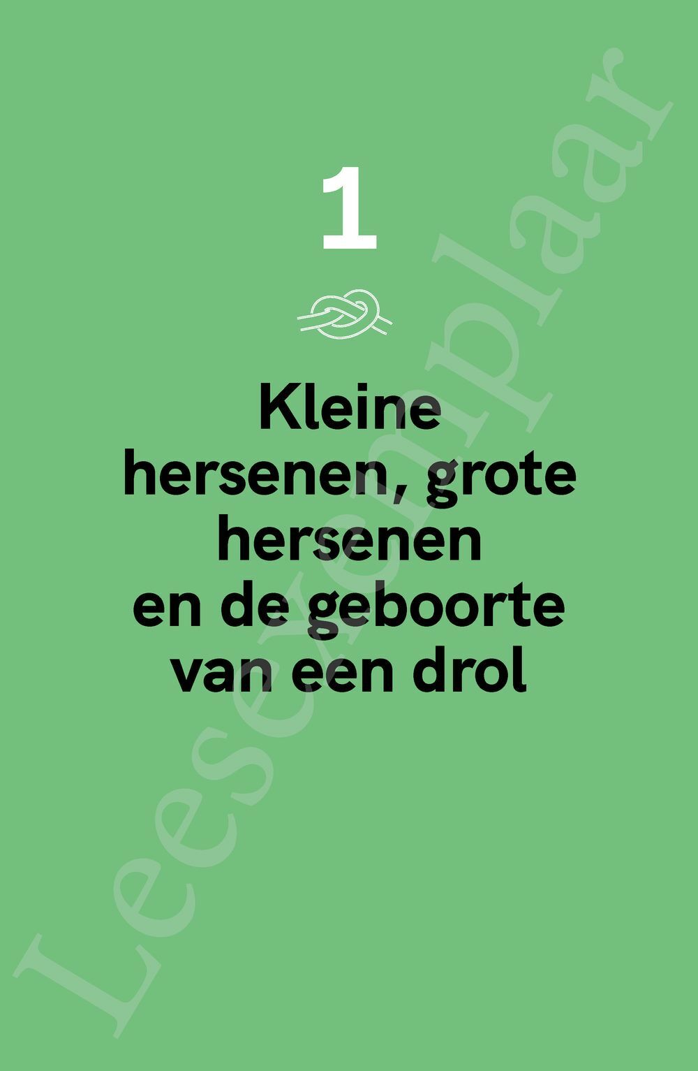 Prikkelbare darmen – Heiko De Schepper | Pelckmans