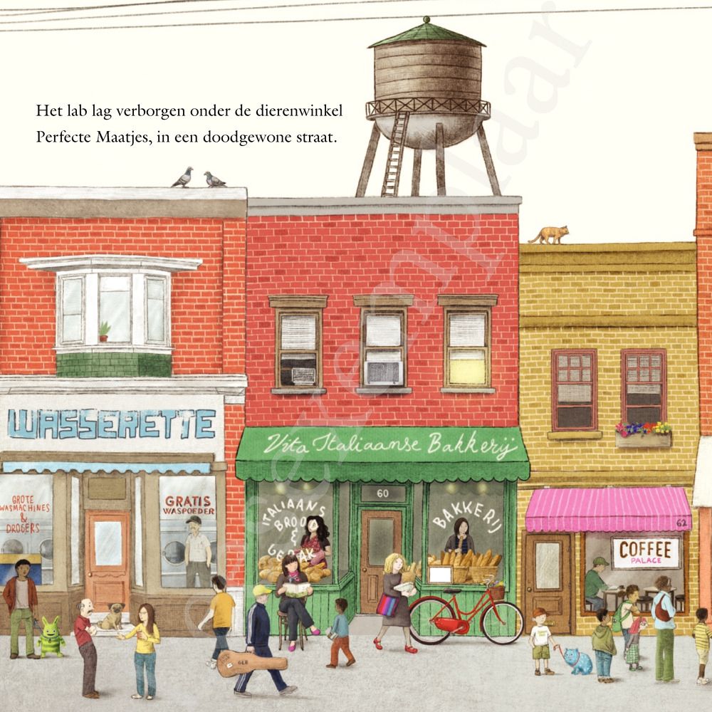 Project Barnabus - The Fan Brothers | Pelckmans